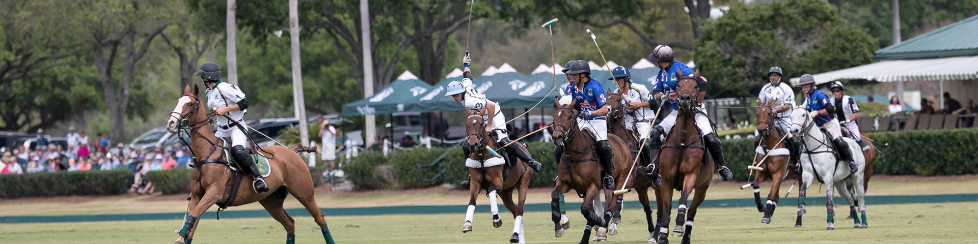 Program - The Villages Polo Club